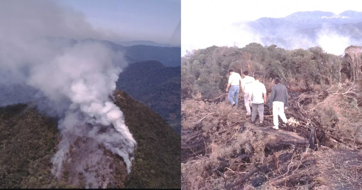 GALERIA - Há 30 anos, morro Spitzkopf ardia em chamas após grande ...