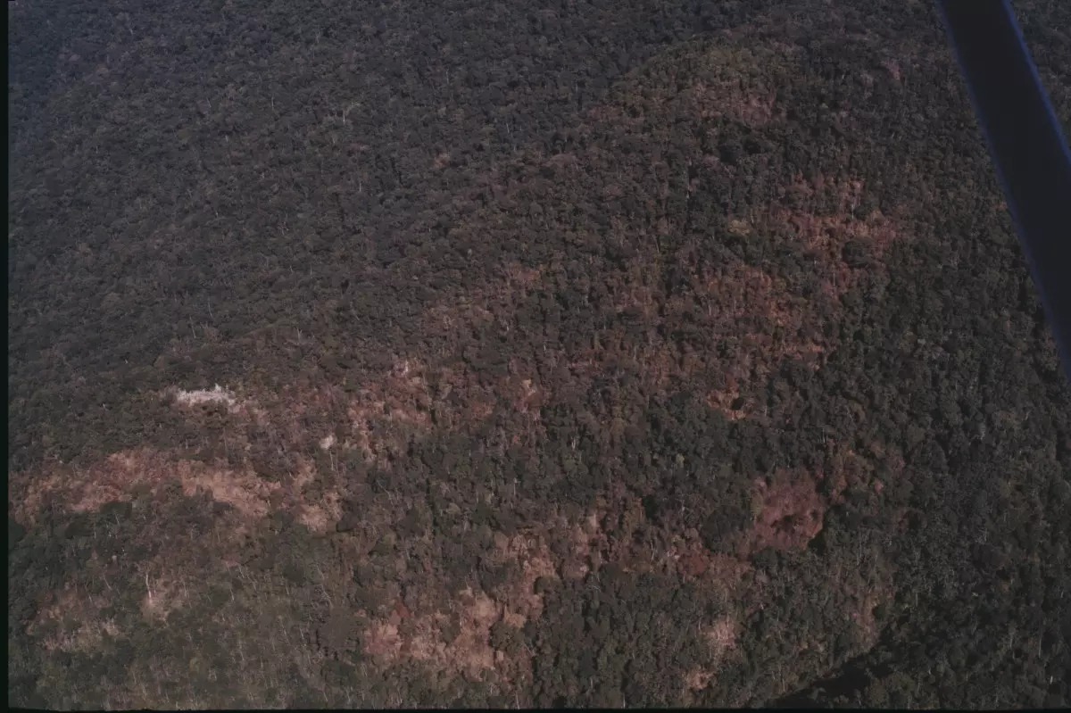 GALERIA - Há 30 anos, morro Spitzkopf ardia em chamas após grande ...
