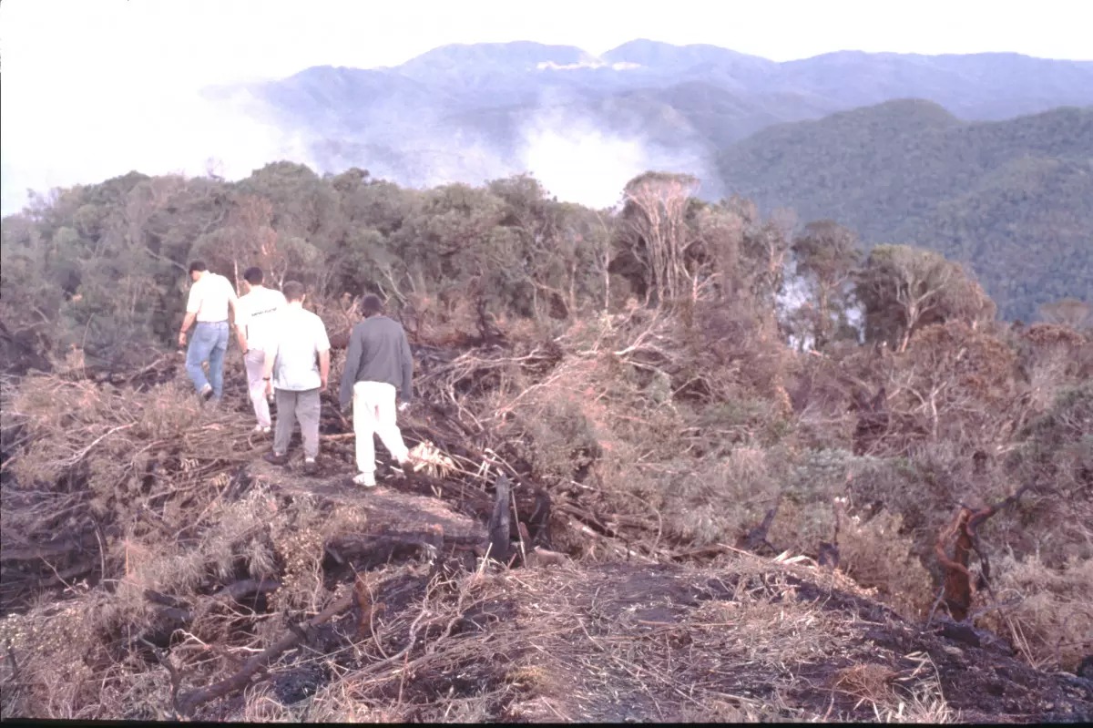 GALERIA - Há 30 anos, morro Spitzkopf ardia em chamas após grande ...