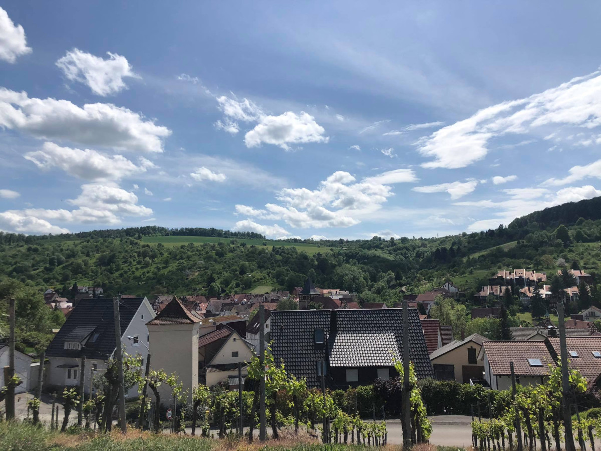 A história de uma vida: quem era Horst Otto Mödinger